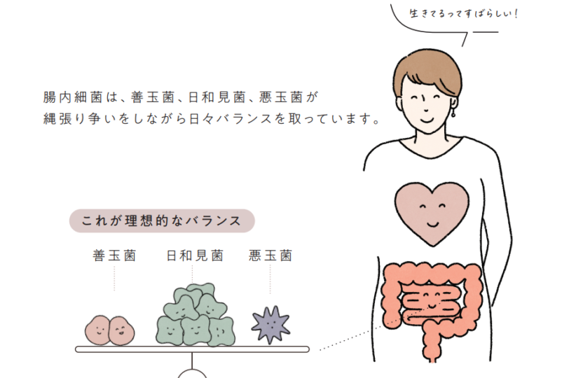 【イラストでわかる！】腸内細菌の種類と働き Kins Lab 